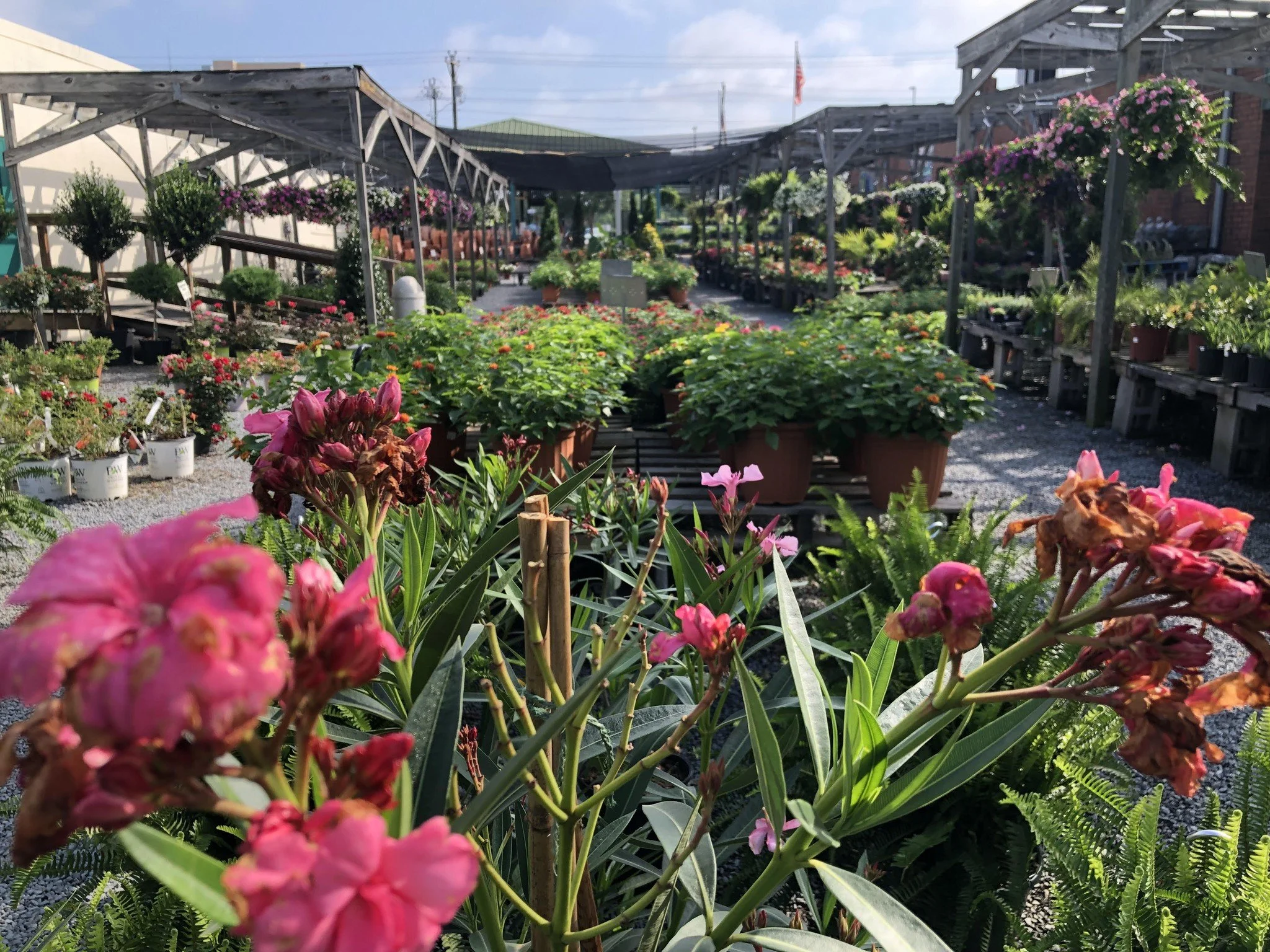 Bell's Seed Store - Fayetteville's Garden Center