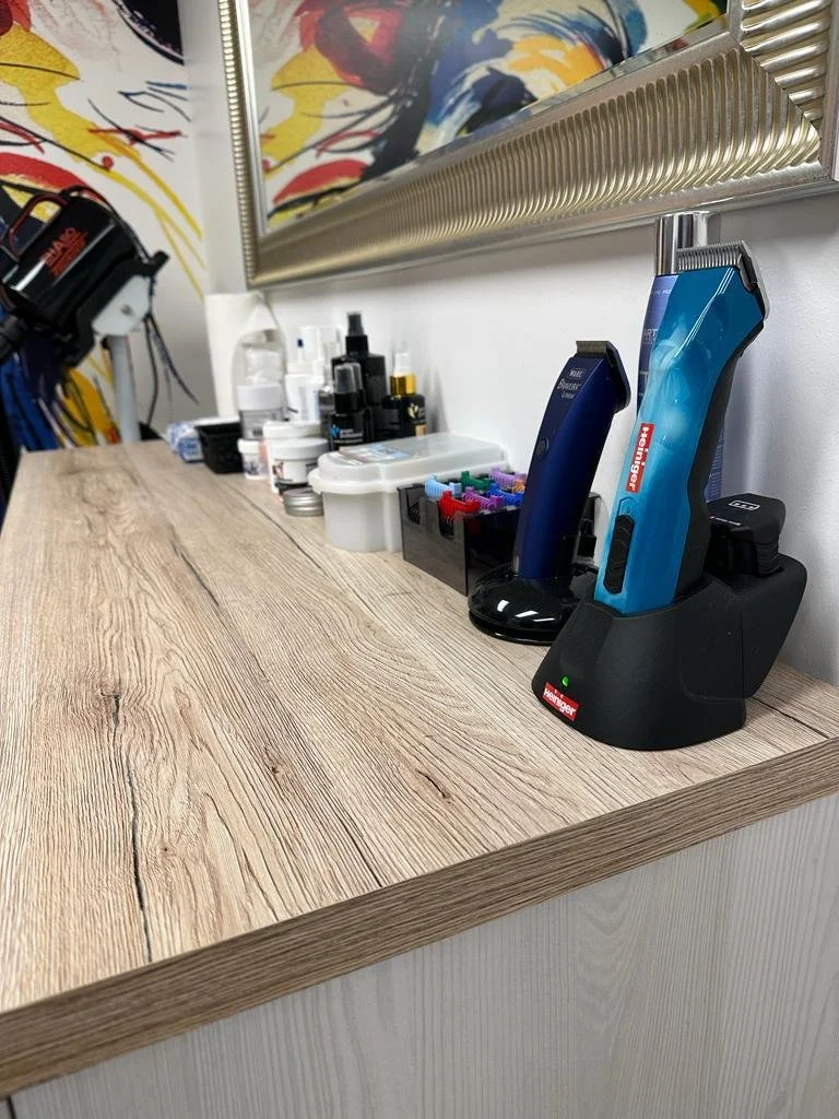 Mein Salon — Picco-Belli