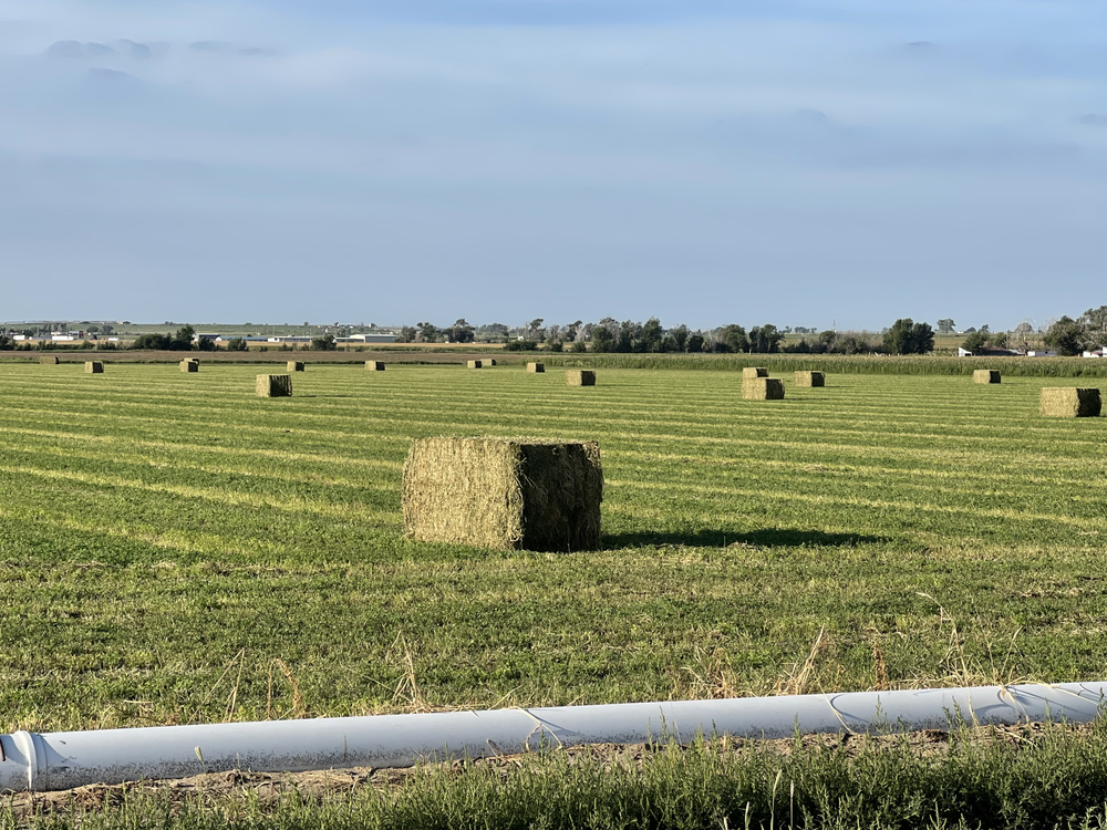 Water Quality — Lower Arkansas Valley Water Conservancy District