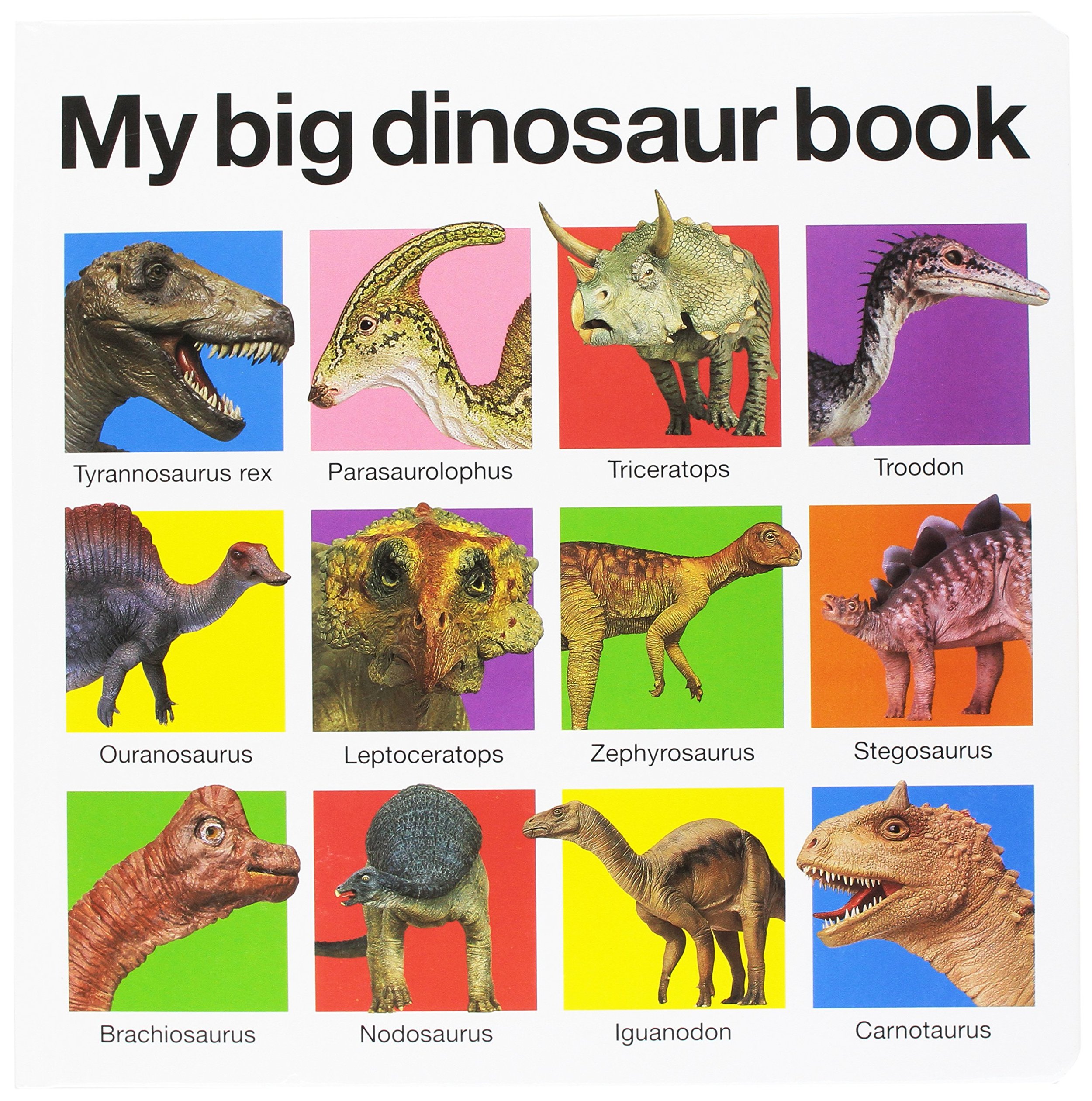 Dinosaur Books — Base Camp Math