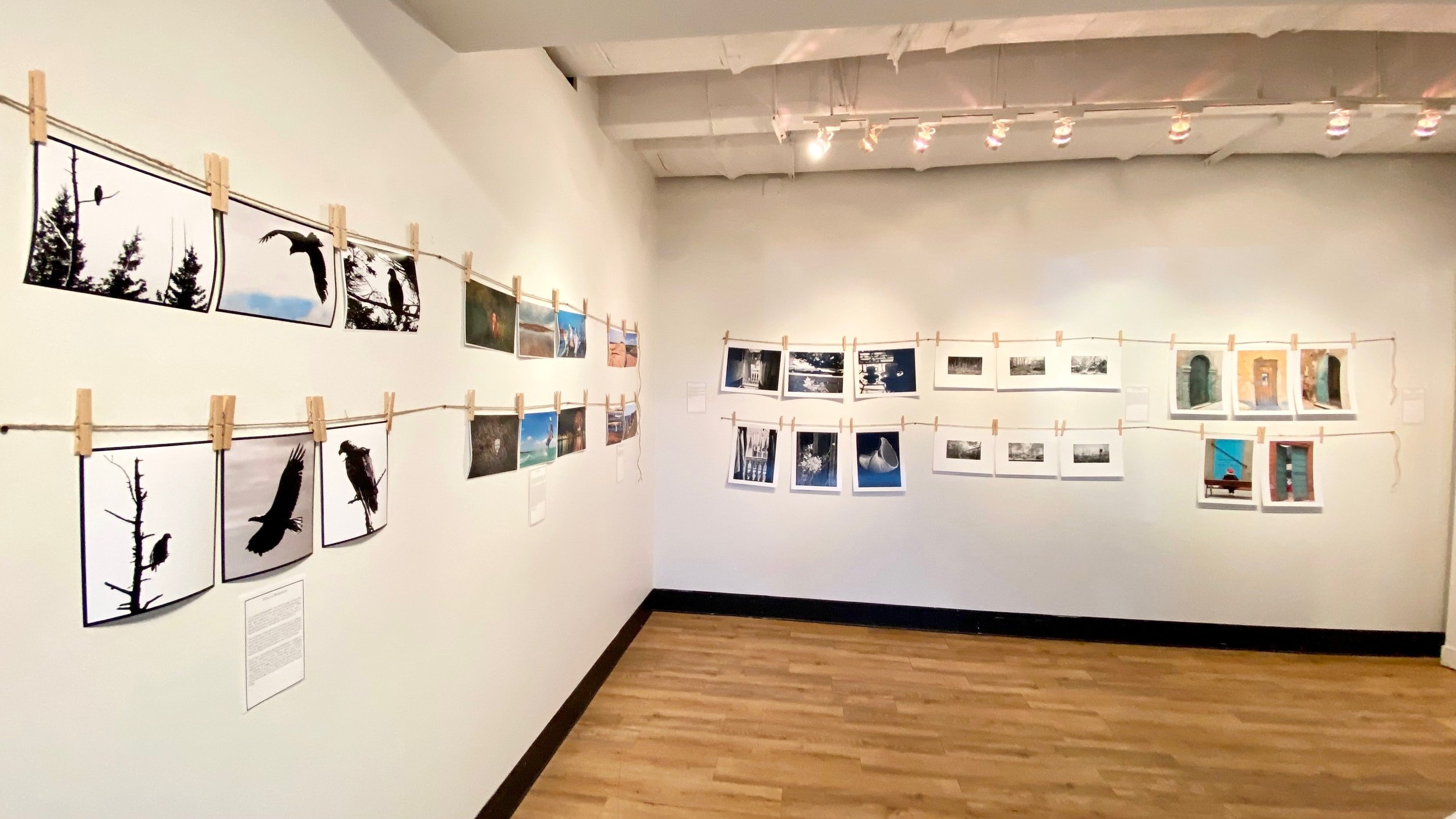 About The Gallery — TheGuildPEI
