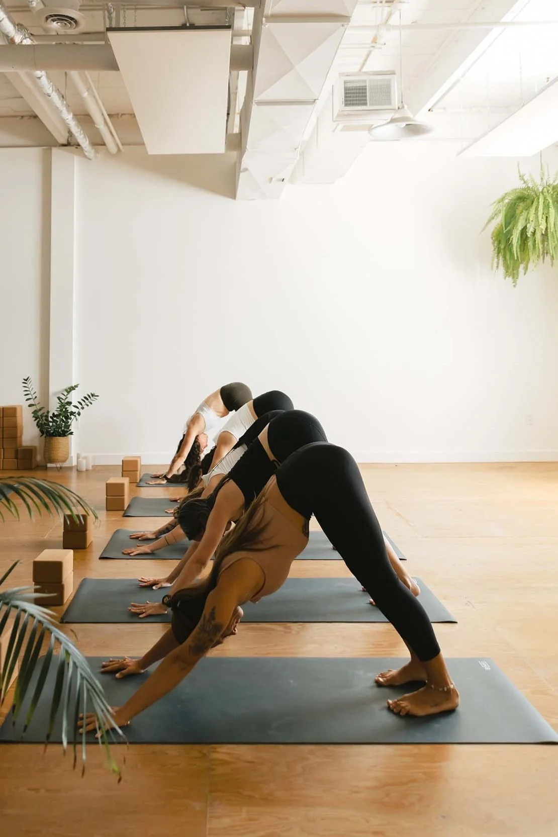 class types | &asanas yoga — &asanas — yoga, hot yoga, pilates ...