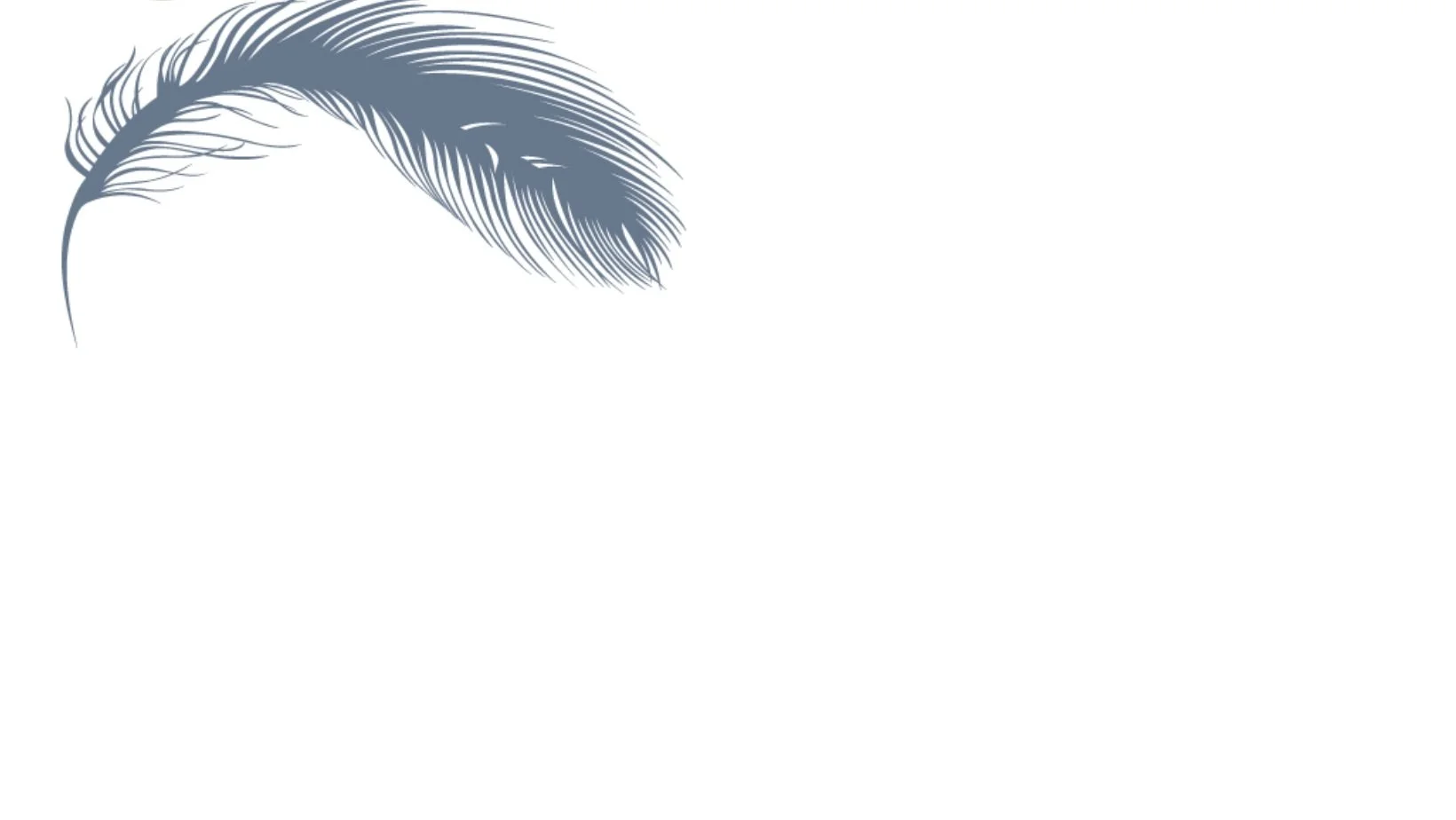 Services — Renee Grafix