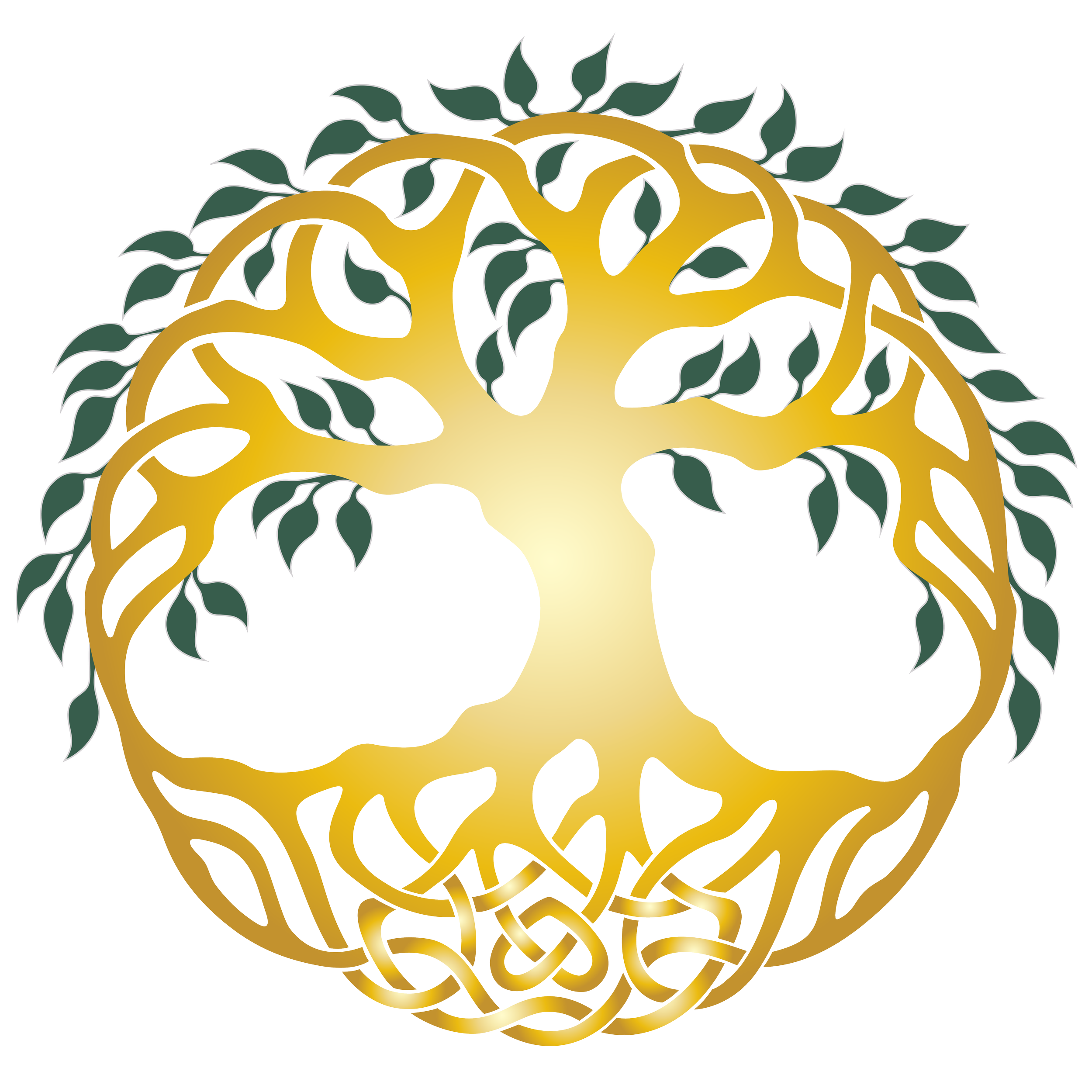 Contact 1 — The Brehon Group
