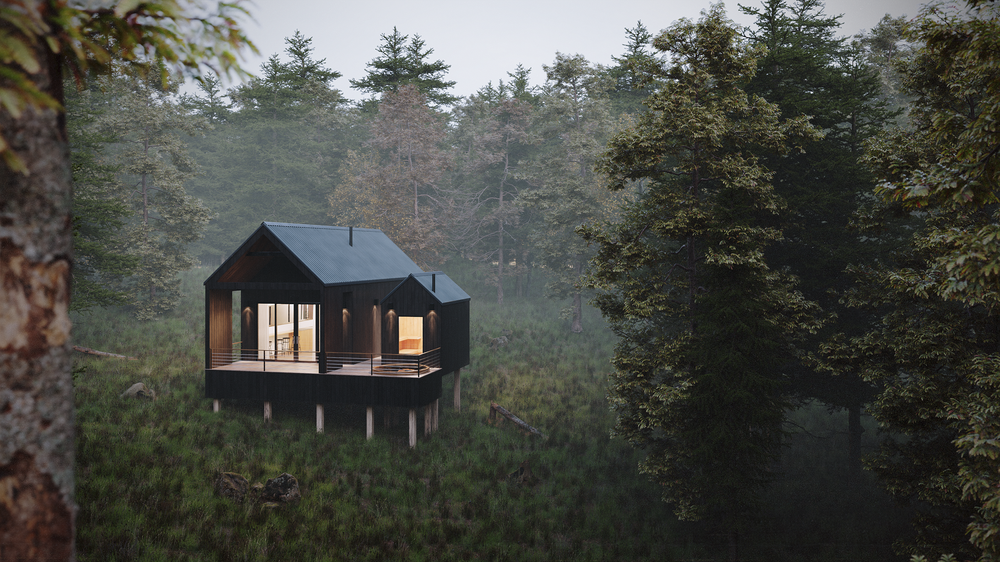 Wild Daisy — Overlook Projects