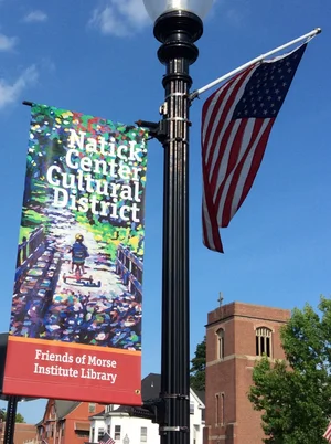 Flying our Banner High — Friends of the Morse Institute Library