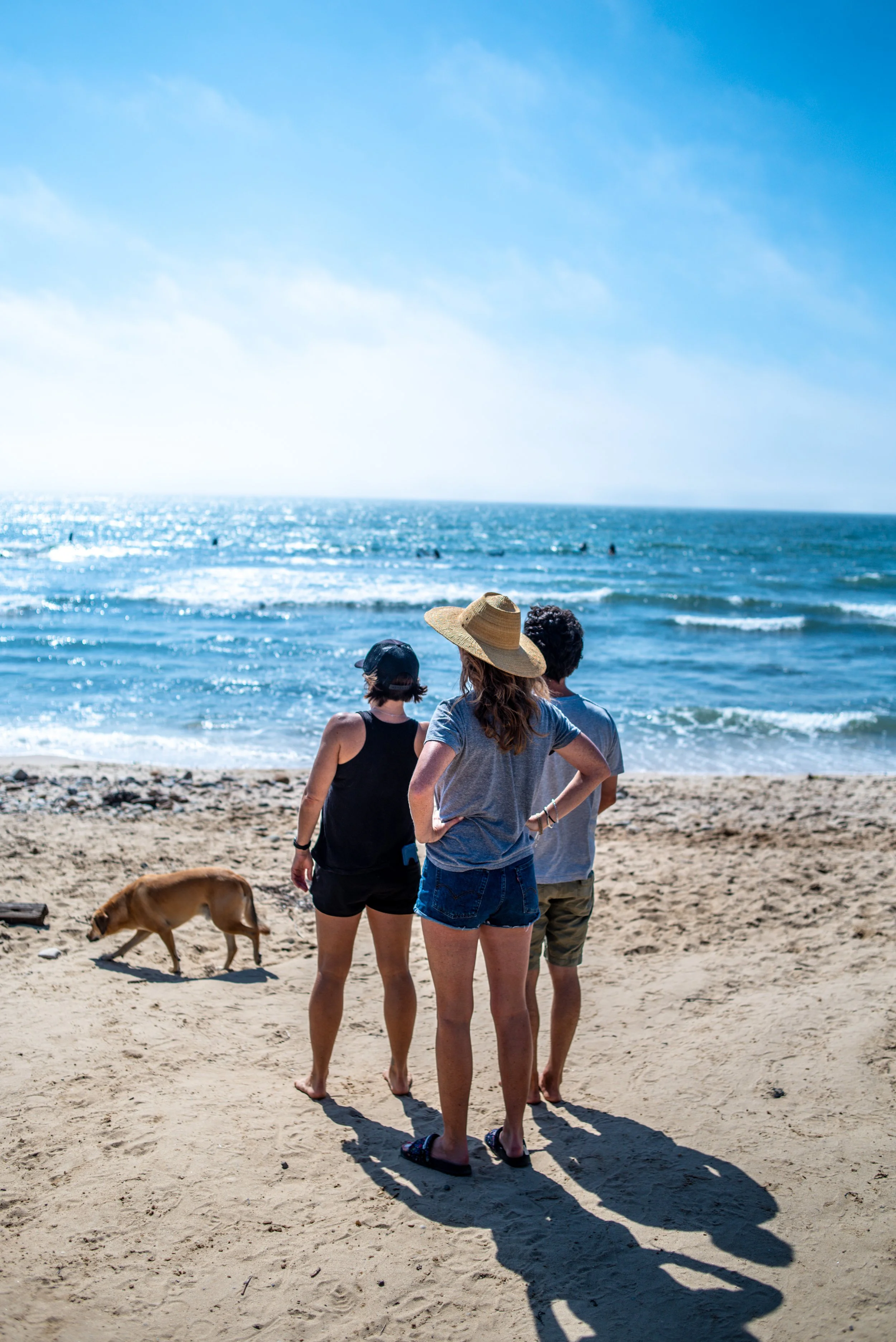 Aaron Tredwell Photography