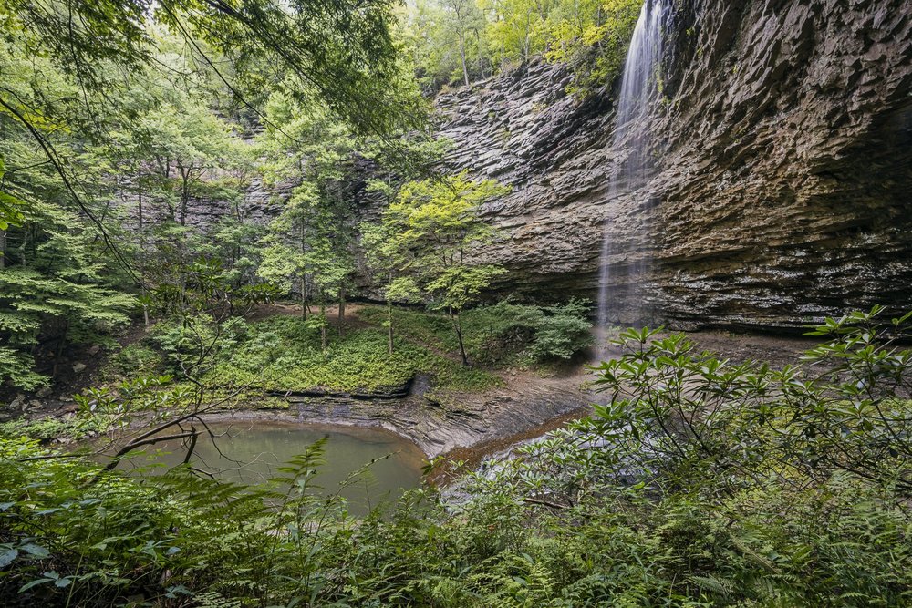 Gallery 1 — Lynne Buchanan • Poetic Climate Photography