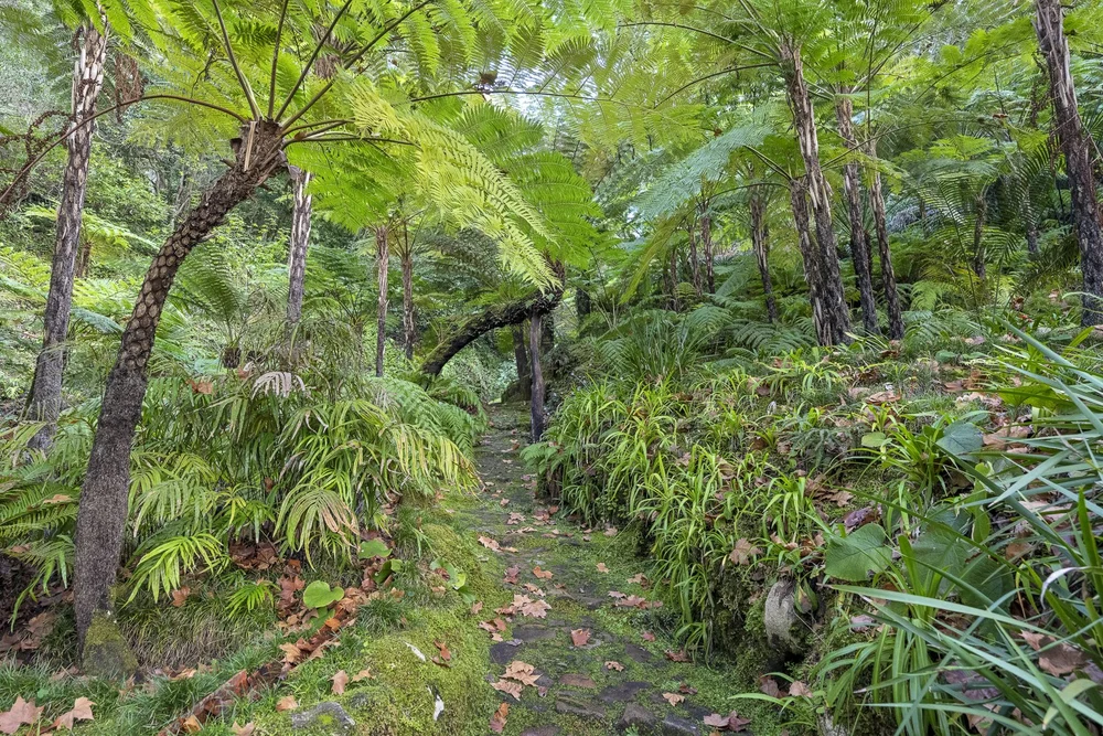 Gallery 1 — Lynne Buchanan • Poetic Climate Photography