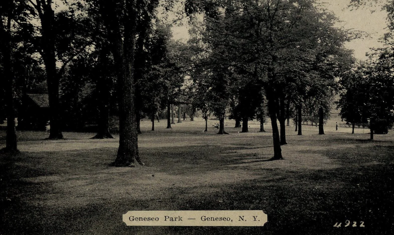 History of Geneseo — Visit Geneseo New York