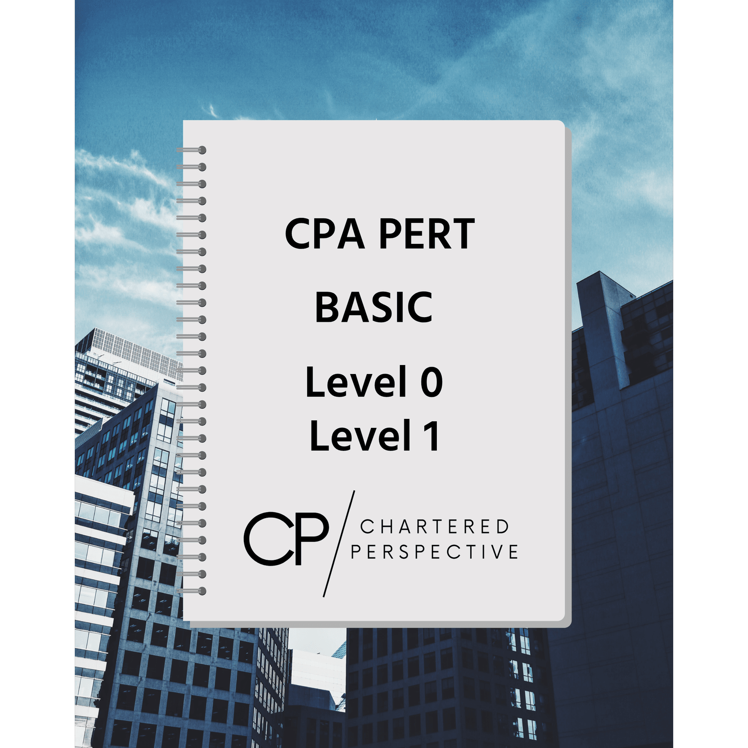 CPA PERT Premium Guide - Example Answers Levels 0-2, Analysis, and ...