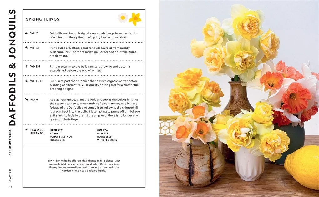 Shop — The Super Bloom