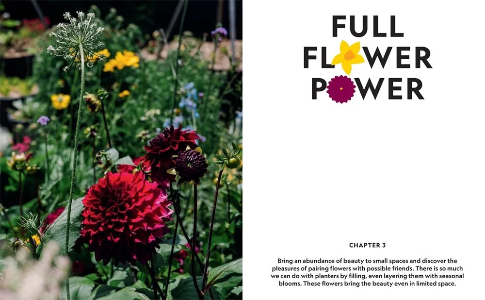 Shop — The Super Bloom