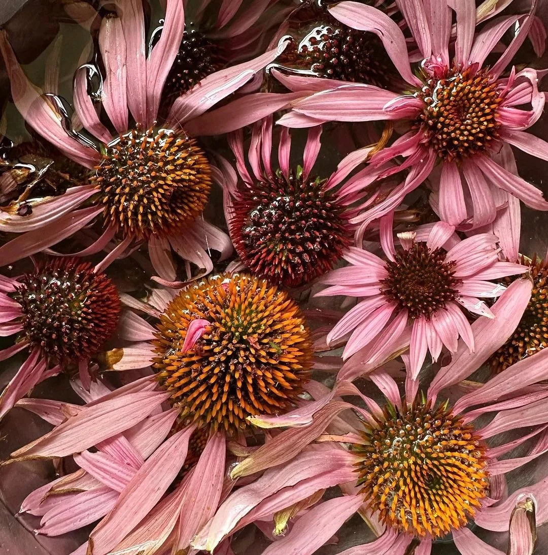 The Super Bloom