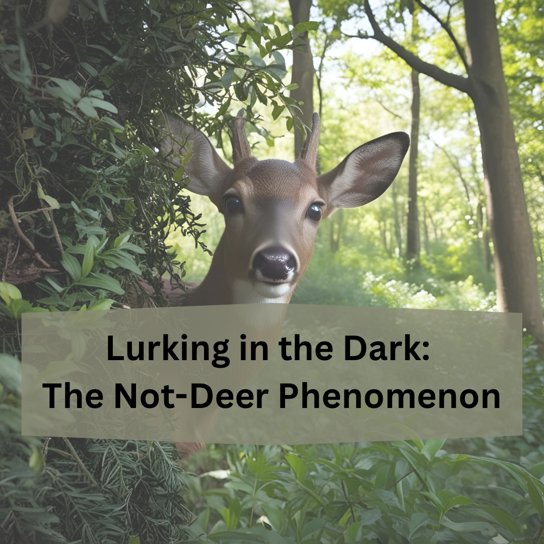 Lurking in the Dark: The Not-Deer Phenomenon — Oddity Shop Podcast