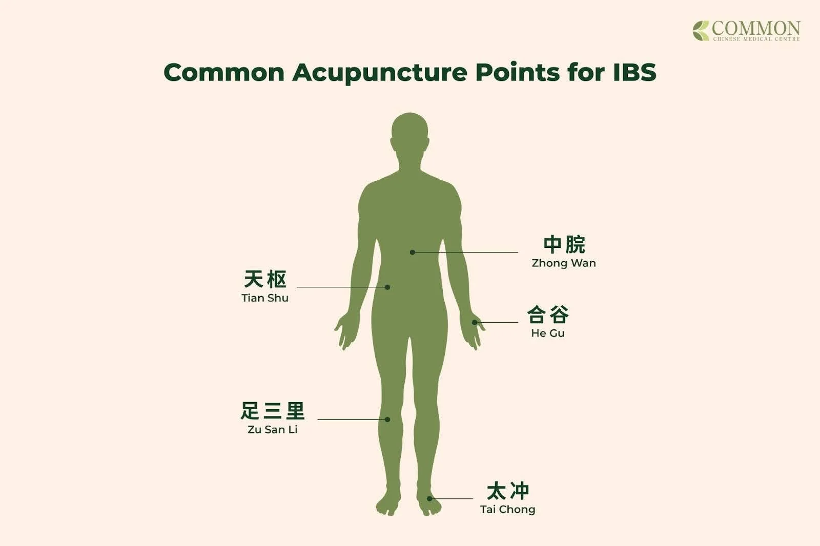 Science and TCM behind Irritable Bowel Syndrome