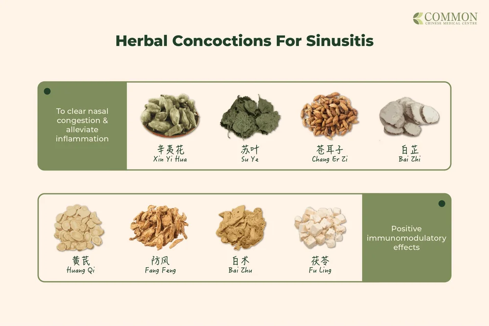 Managing Sinusitis with Traditional Chinese Medicine (TCM)