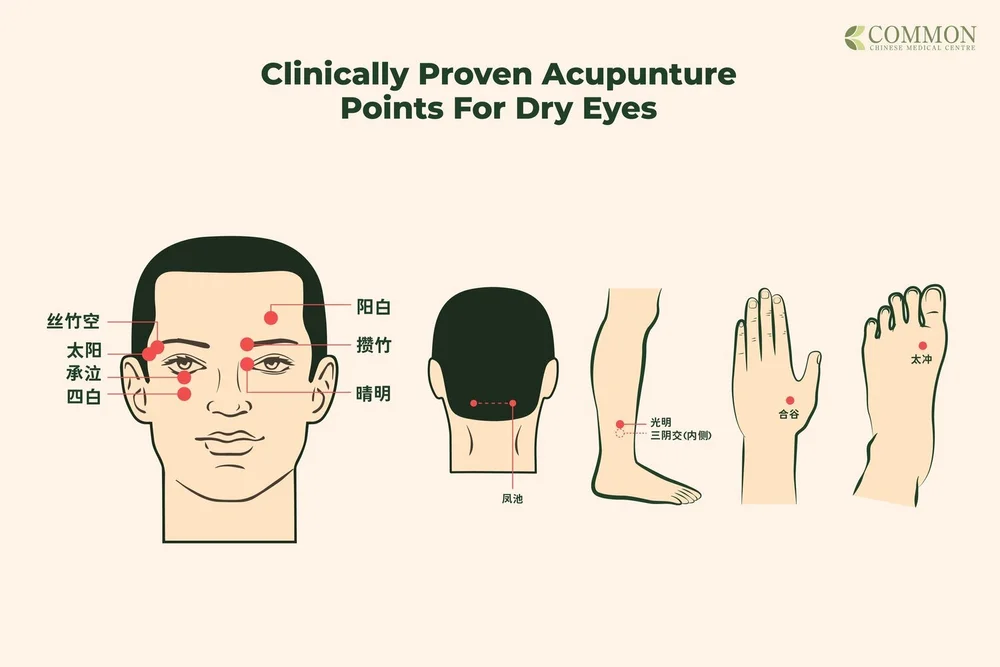 How TCM Helps Relief Digital Eye Strain & Dry Eye Syndrome