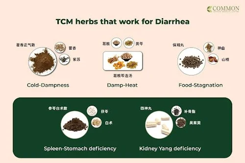 Diarrhea Medication: Which TCM Herbs Work?