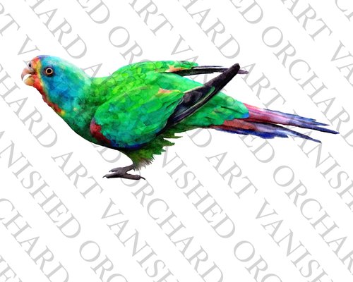 Turbo Chook (Native Hen) Sticker [Waterproof] — Vanished Orchard Art