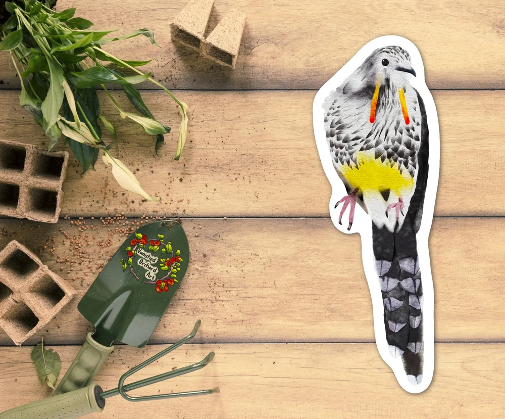 Turbo Chook (Native Hen) Sticker [Waterproof] — Vanished Orchard Art
