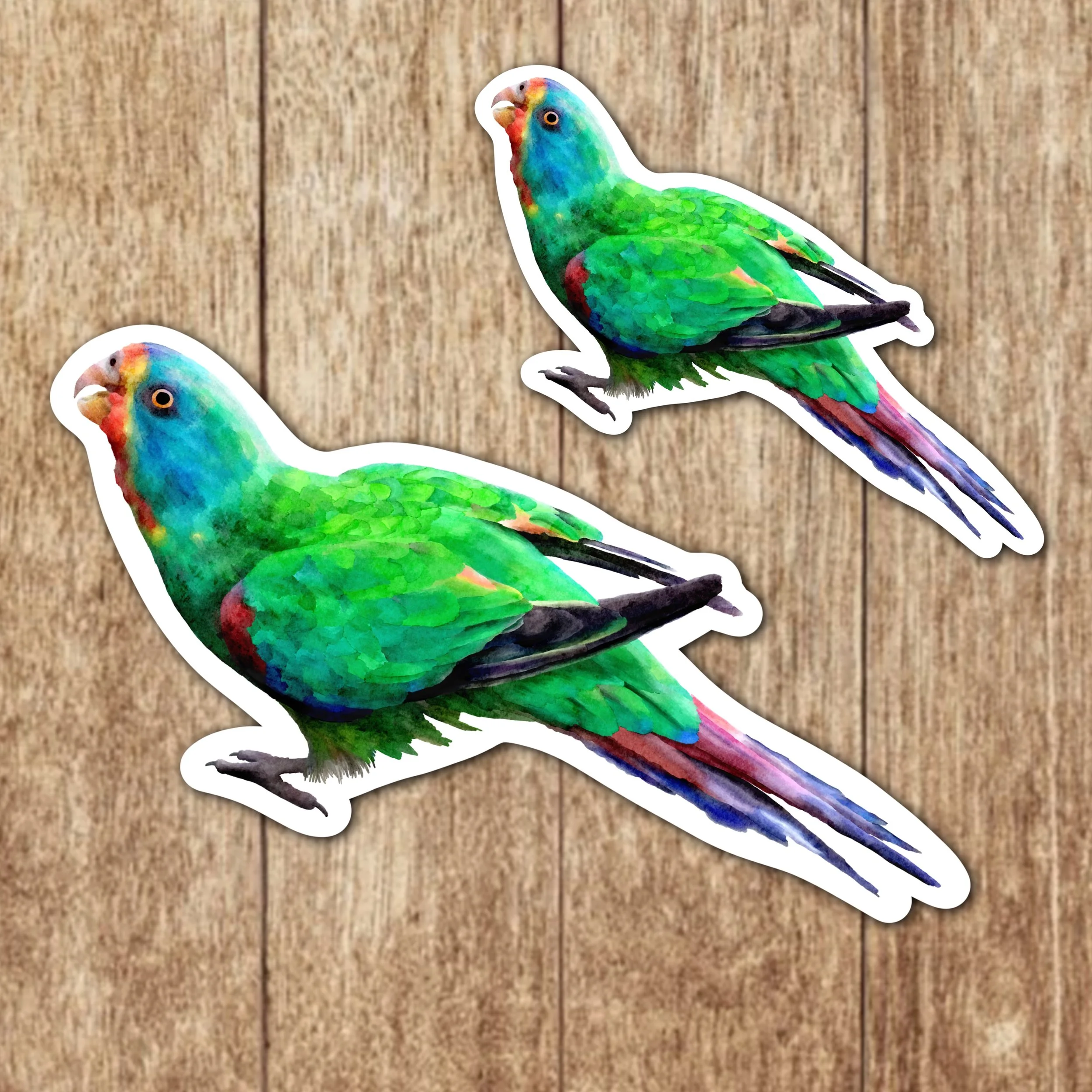 Turbo Chook (Native Hen) Sticker [Waterproof] — Vanished Orchard Art