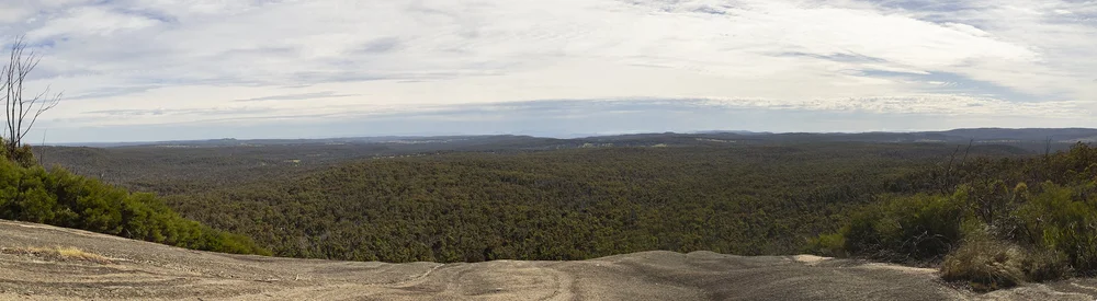 Bald Rock Climb | Tenterfield Travelling | Part 3 — Seeking Nature | AUS