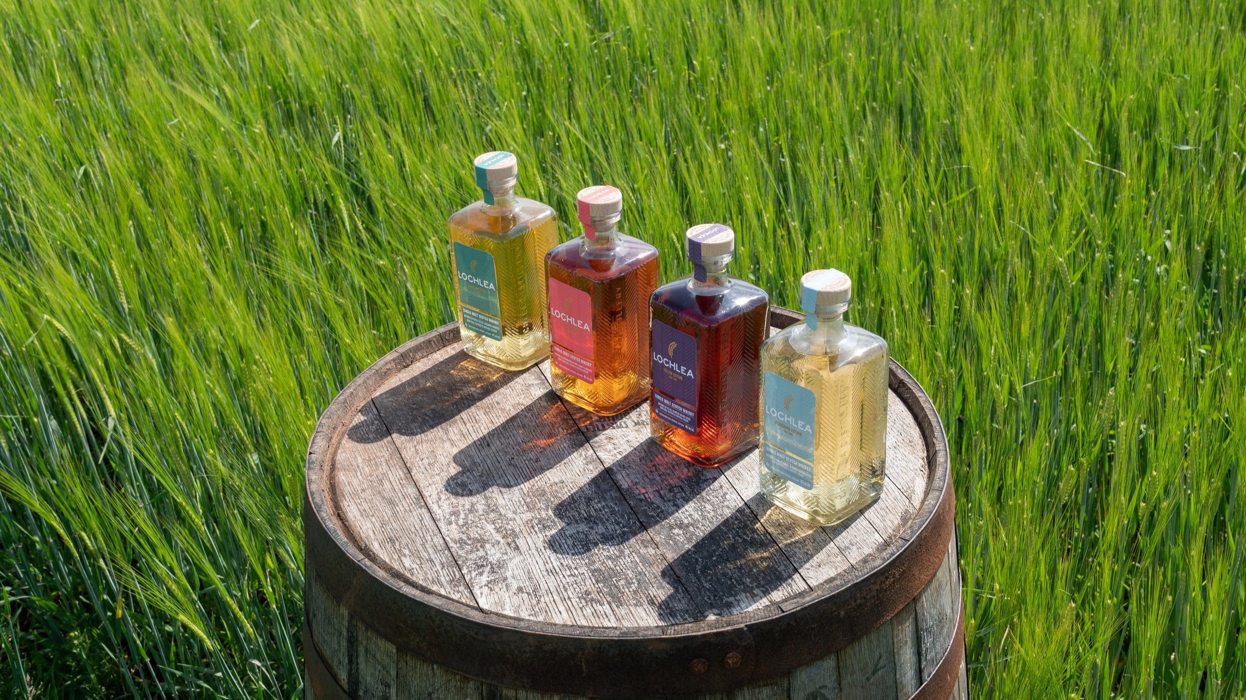 OUR WHISKY — Lochlea Distillery | Whisky Distillery, Ayrshire, Scotland