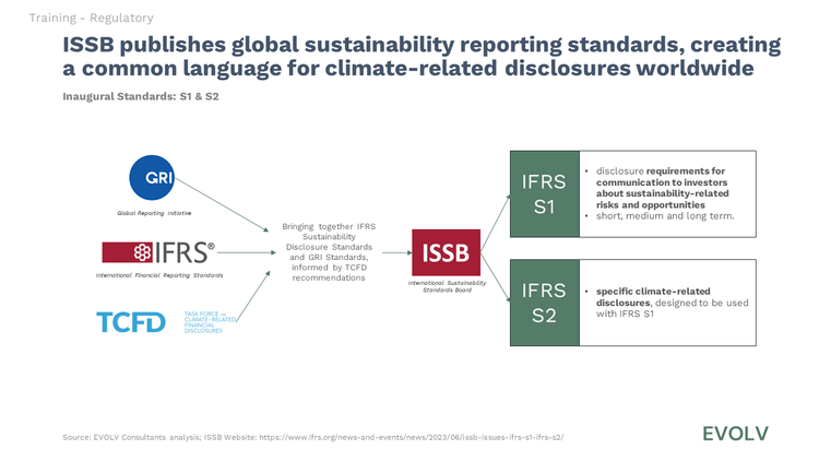 ISSB releases IFRS S1 and S2 guidance