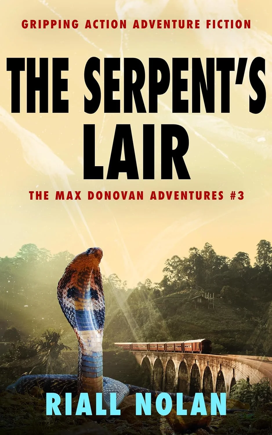 Adventure Novels — Riall Nolan