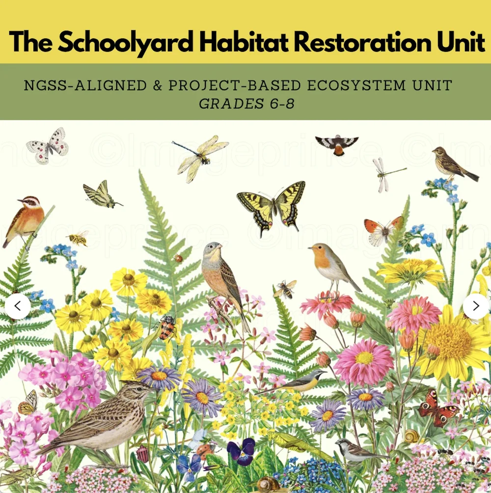 Symbiotic Schoolyard