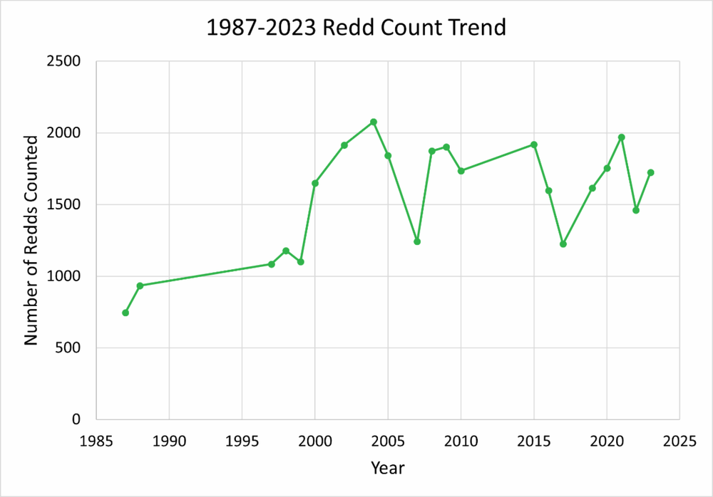 Redd Count Spring Creek Trout Unlimited redd-count-spring-creek-trout-unlimited