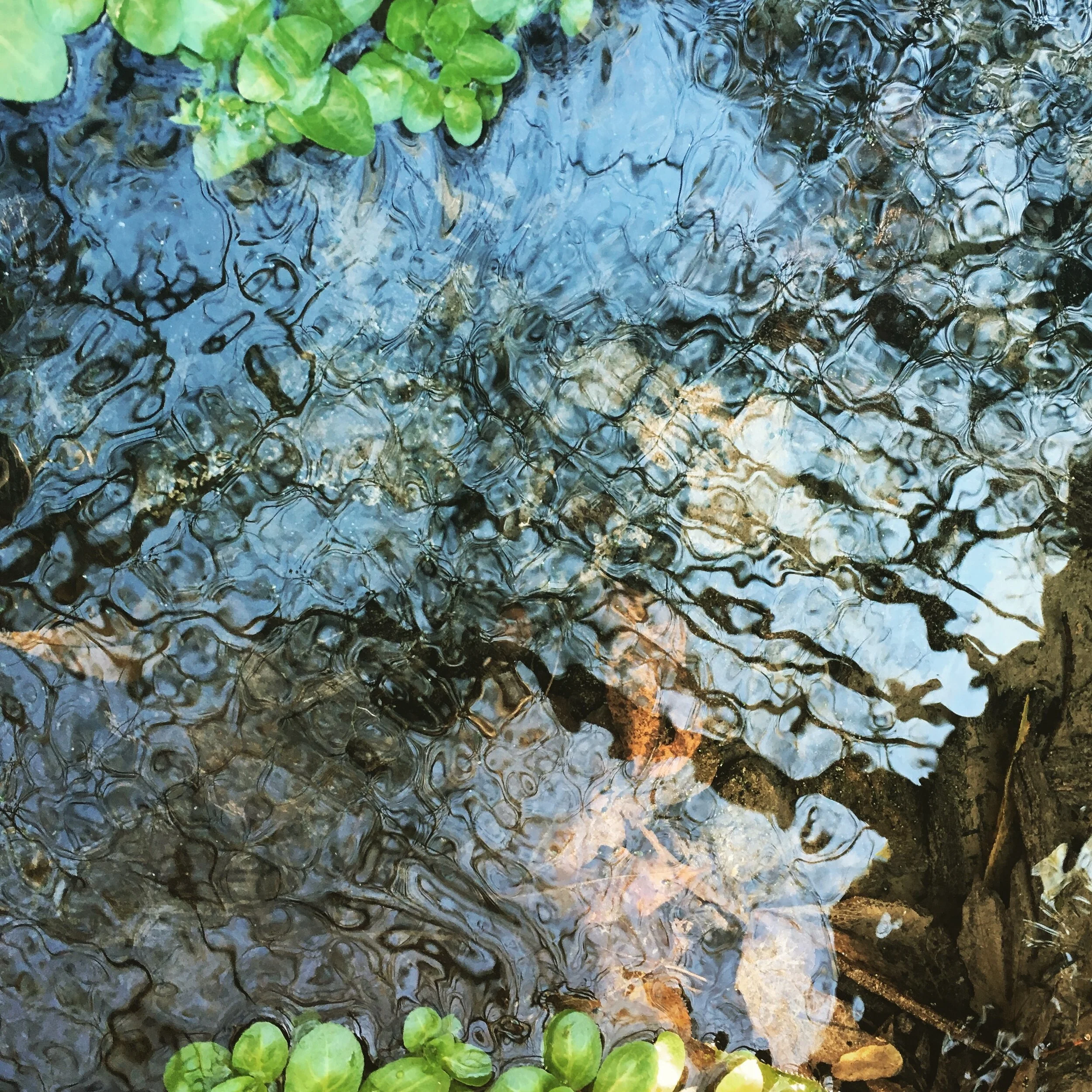 Keystone Water Resources Center — Spring Creek Trout Unlimited