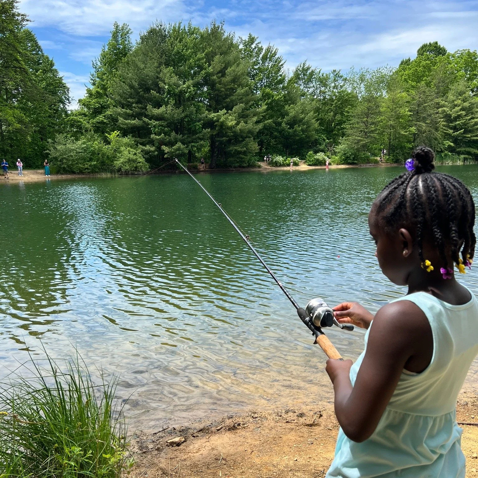 Spring Creek Trout Unlimited