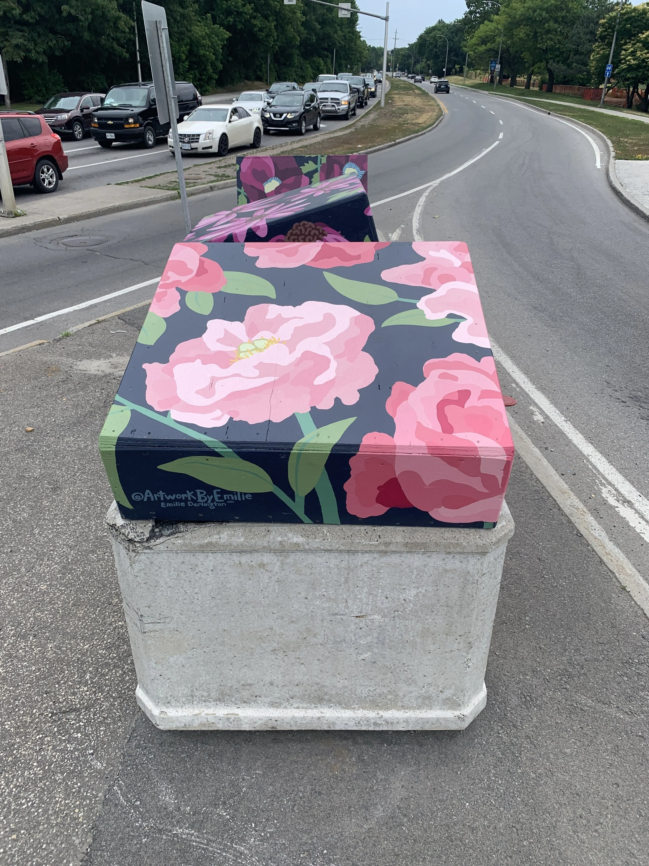 Vanier BIA Summer Boxes — Artwork by Emliie Darlington | Canadian ...