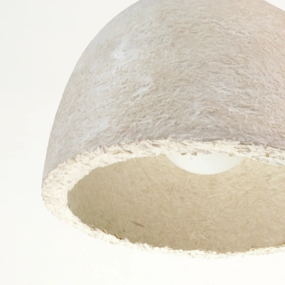 Shop Mycelium Lamps — MushLume Lighting