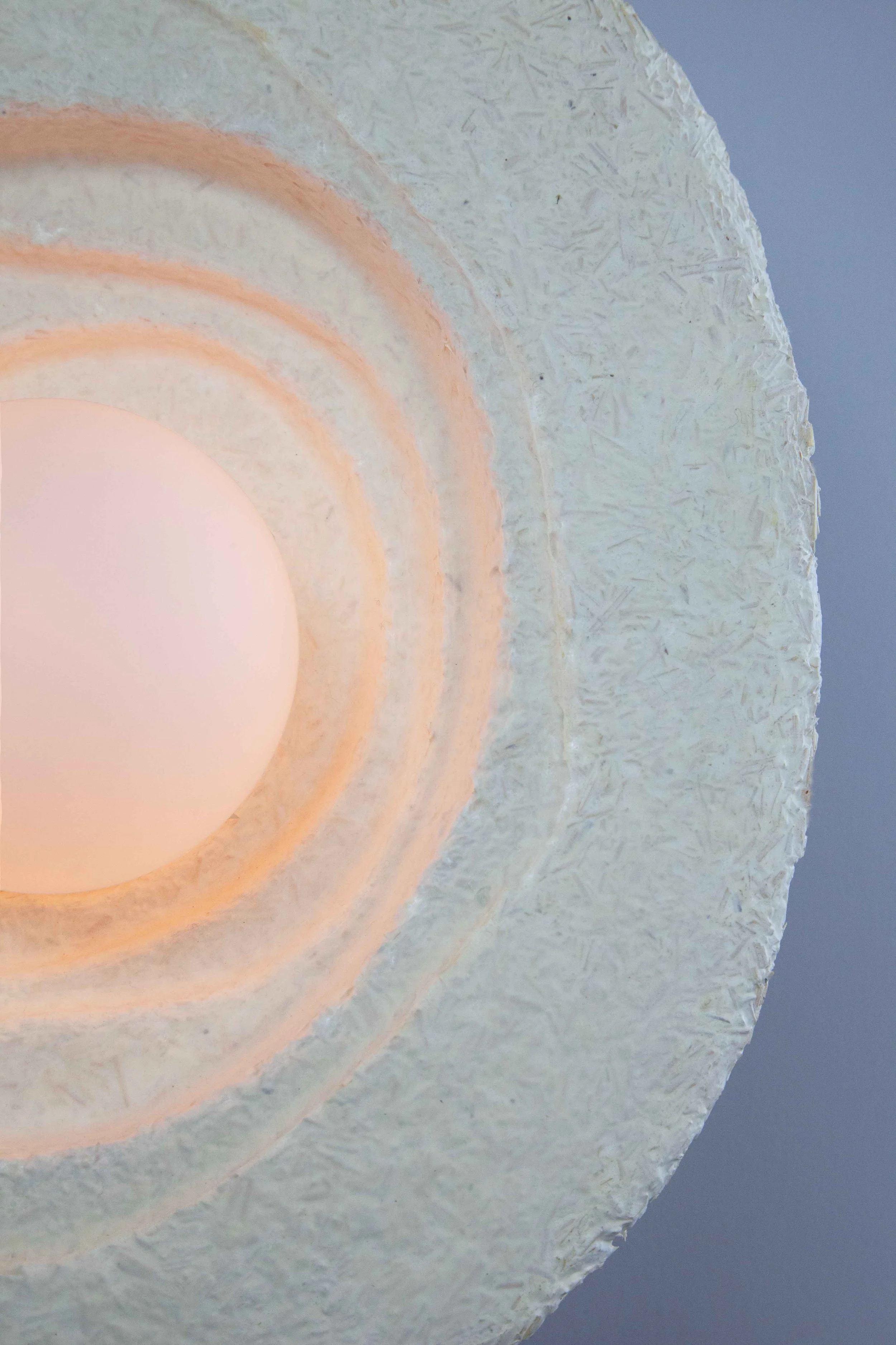 Shop Mycelium Lamps — MushLume Lighting