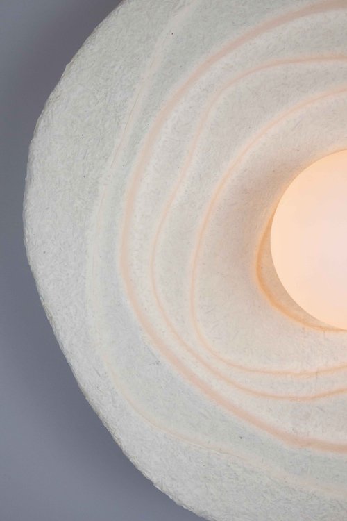 Shop Mycelium Lamps — MushLume Lighting