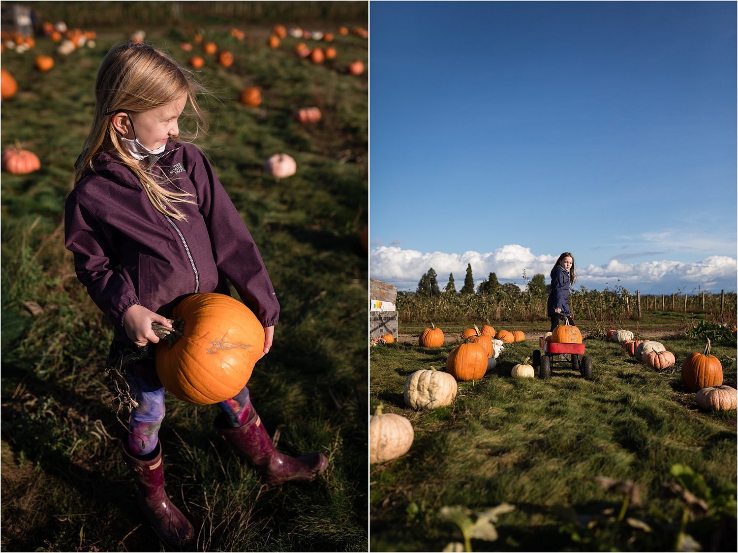 Portland Area Favorite Fall Family Activities
