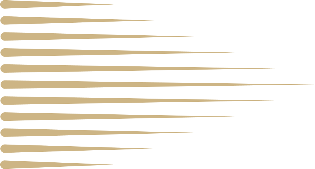 Activator Business Advisors