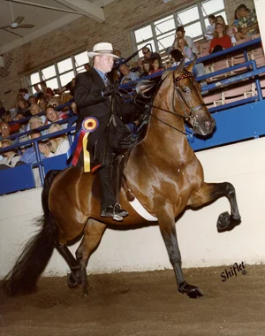 Hall of Fame — Jubilee Morgan Horse Show