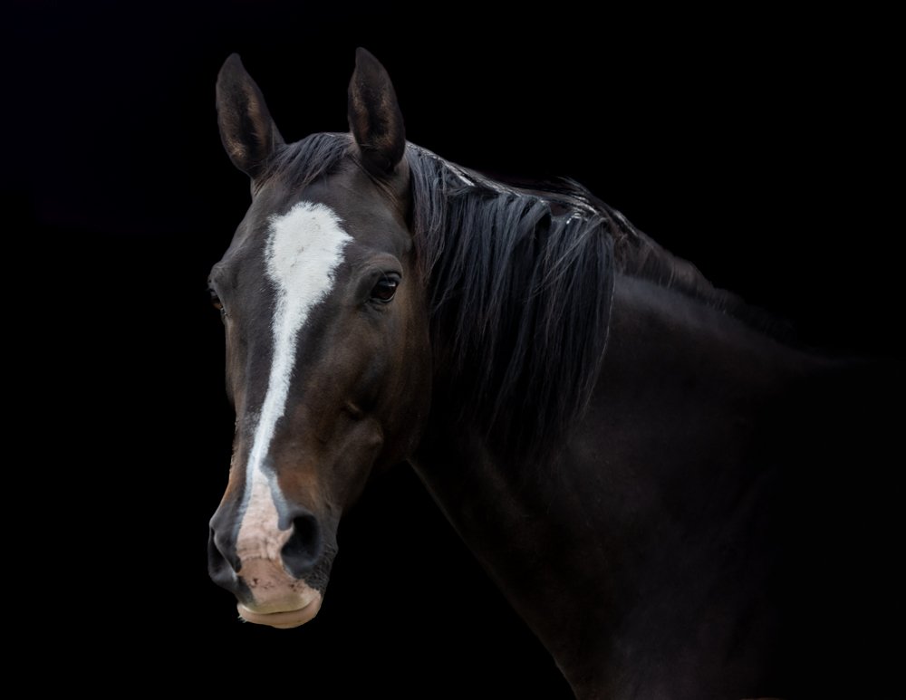 Gallery 3 — John Ellerton Photography