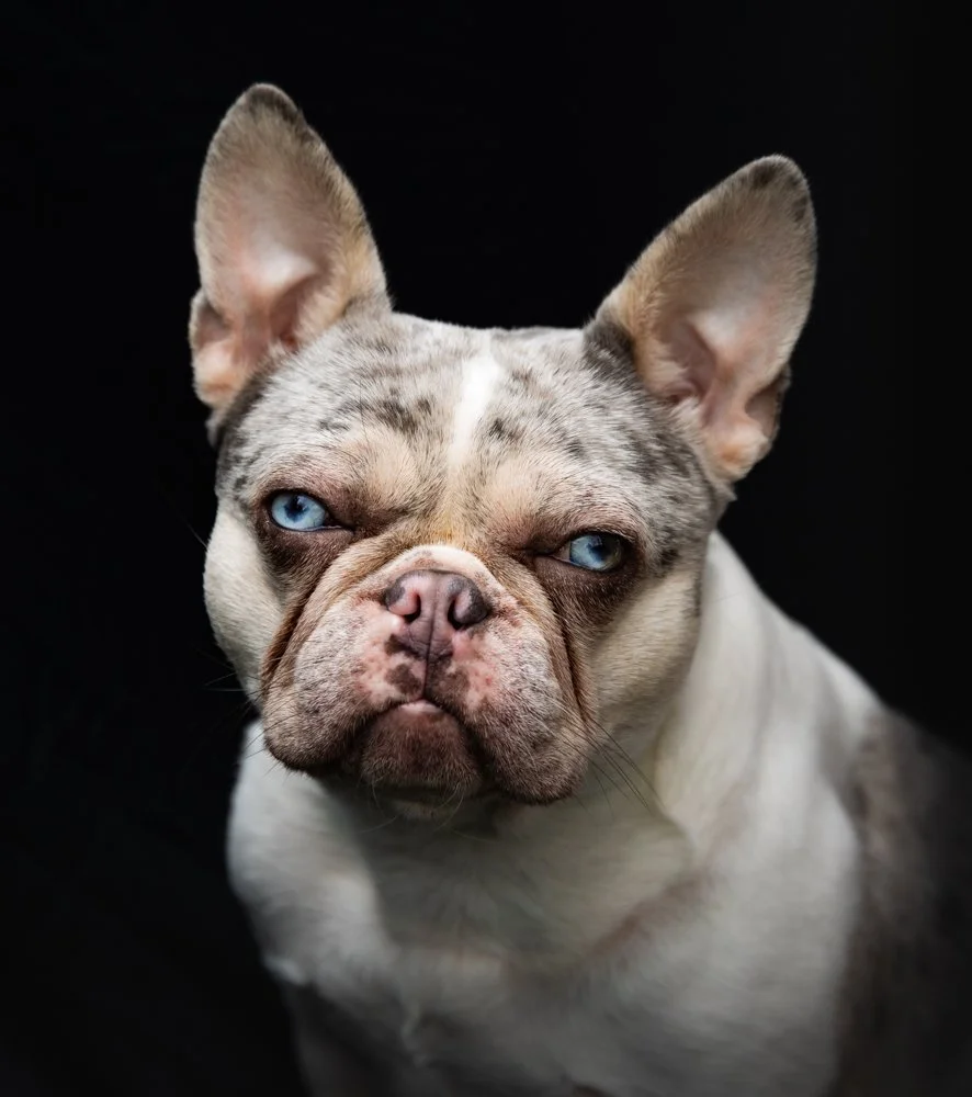 Gallery 3 — John Ellerton Photography