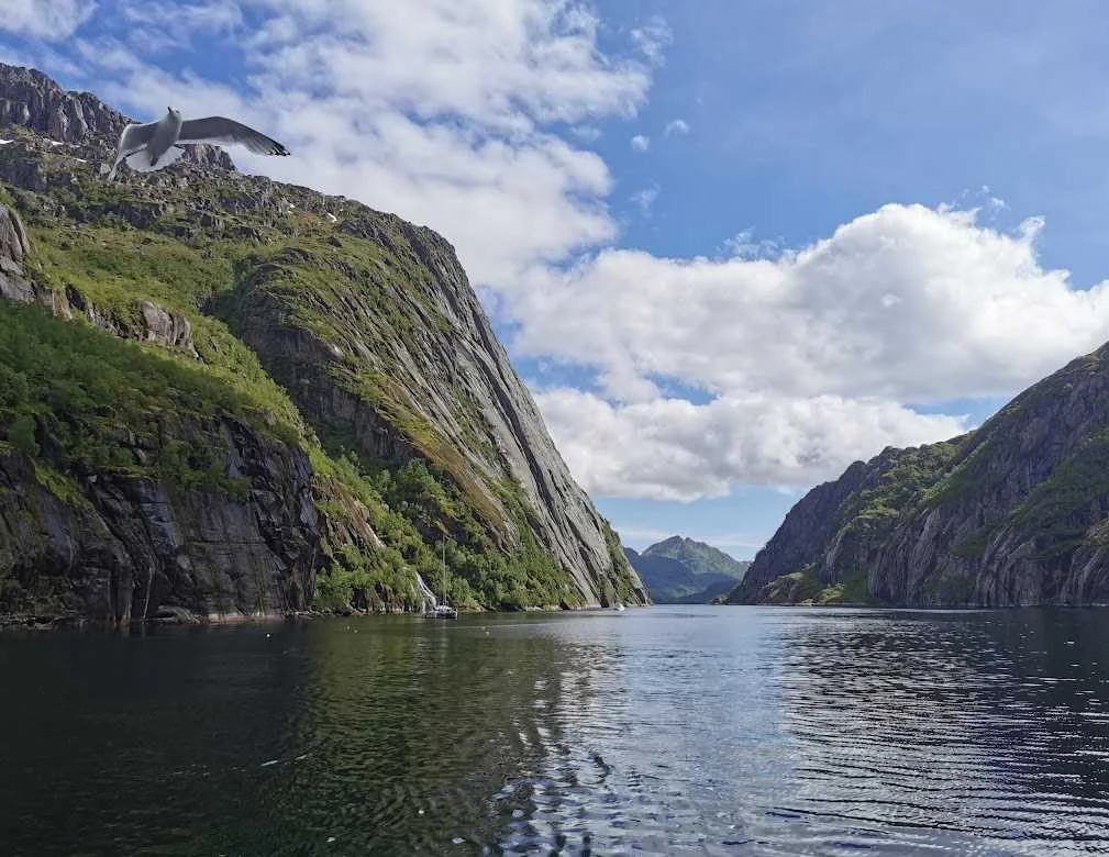 Trollfjord Cruise