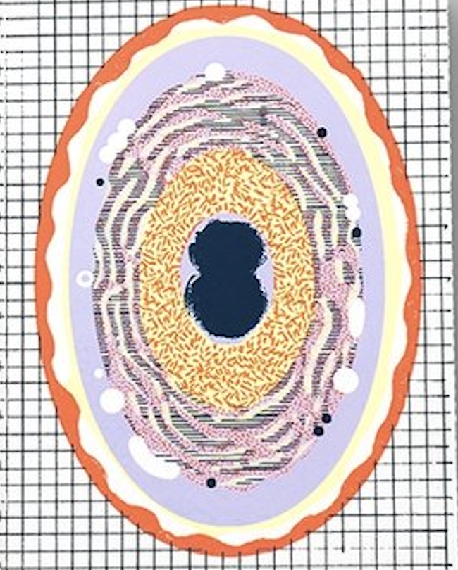 Projects — STUDIO FLUDD