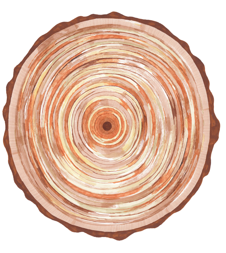 Projects — STUDIO FLUDD