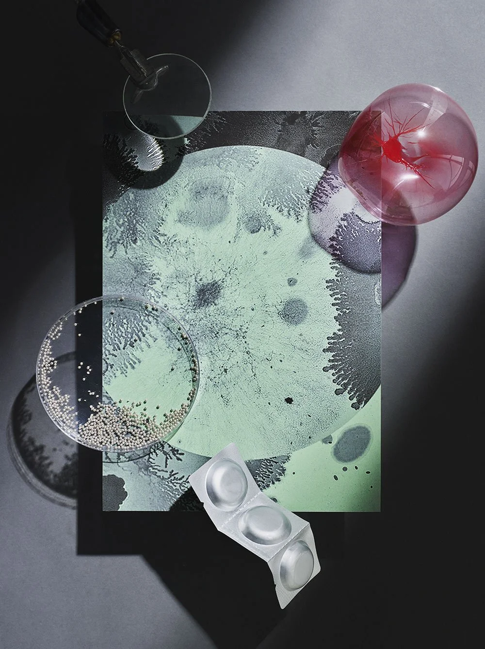 Projects — STUDIO FLUDD