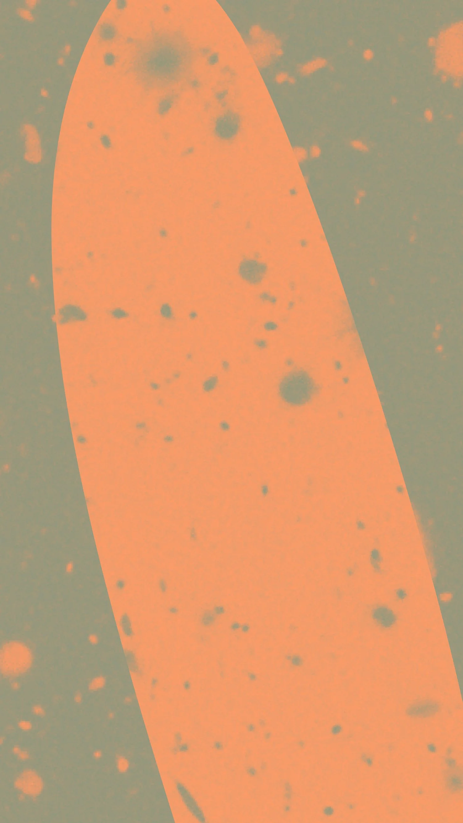 Projects — STUDIO FLUDD