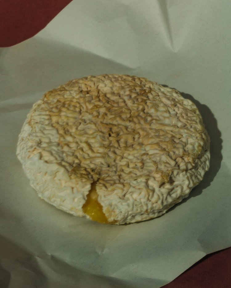 Aspic Fantasma — STUDIO FLUDD