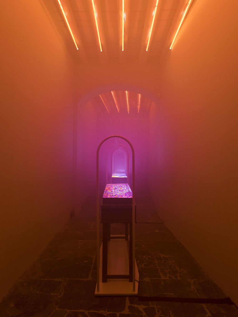 Colour: Unknown — STUDIO FLUDD